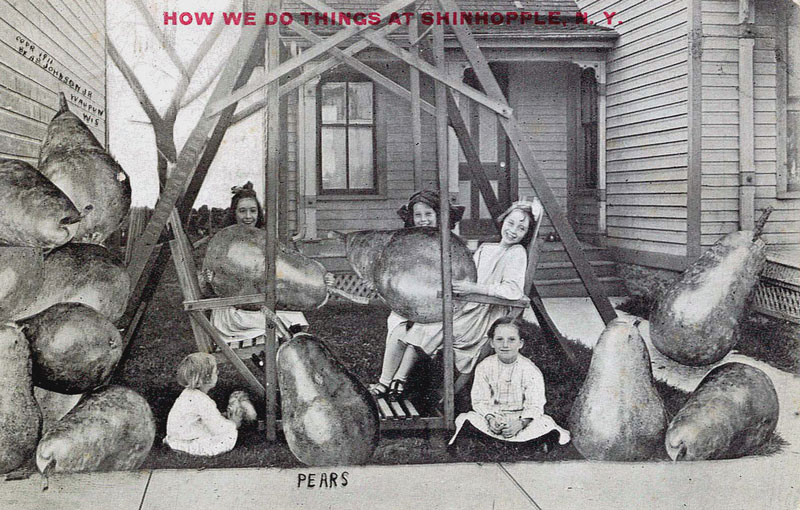 Shinhopple – Colchester Historical Society